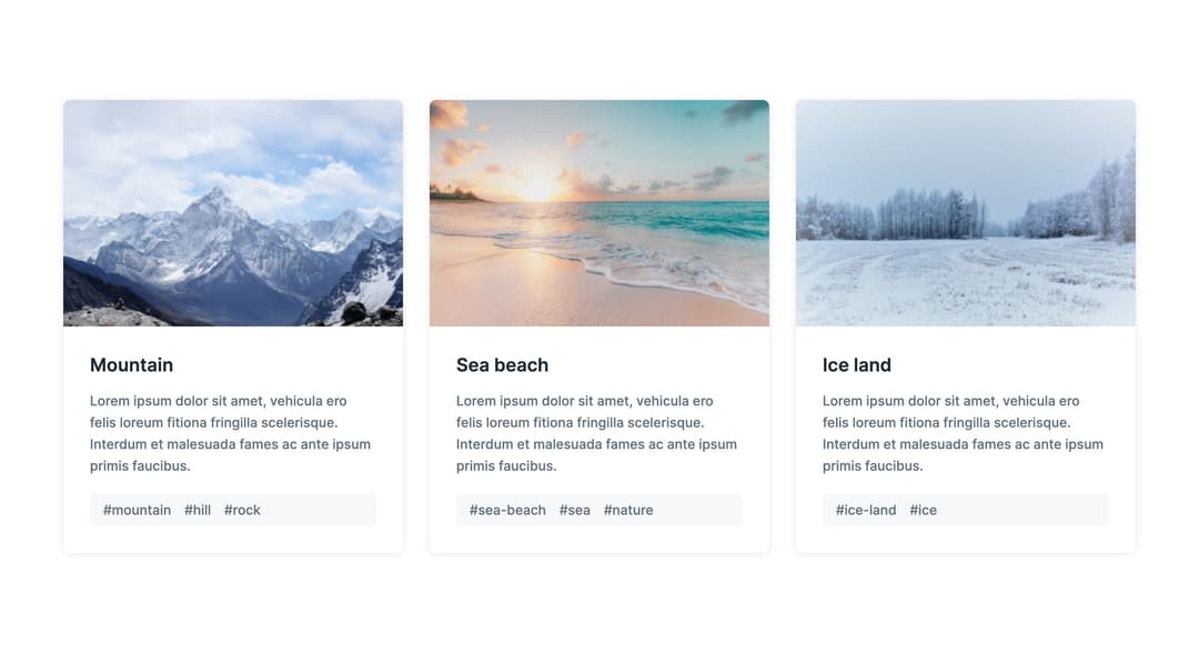 Tailwind Cards - Components and Sections | TailGrids